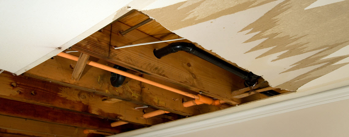 Home - Go Green Restoration